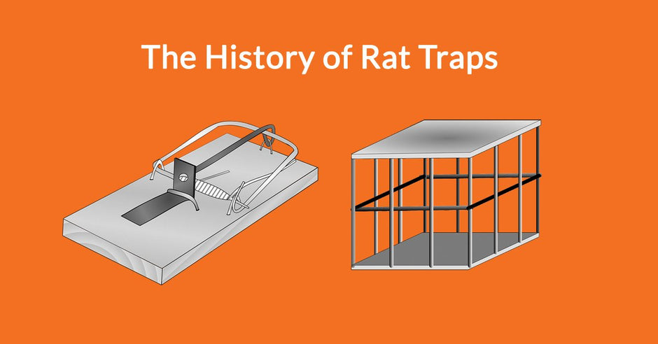 The History of Rat Traps | Automatic Trap Company