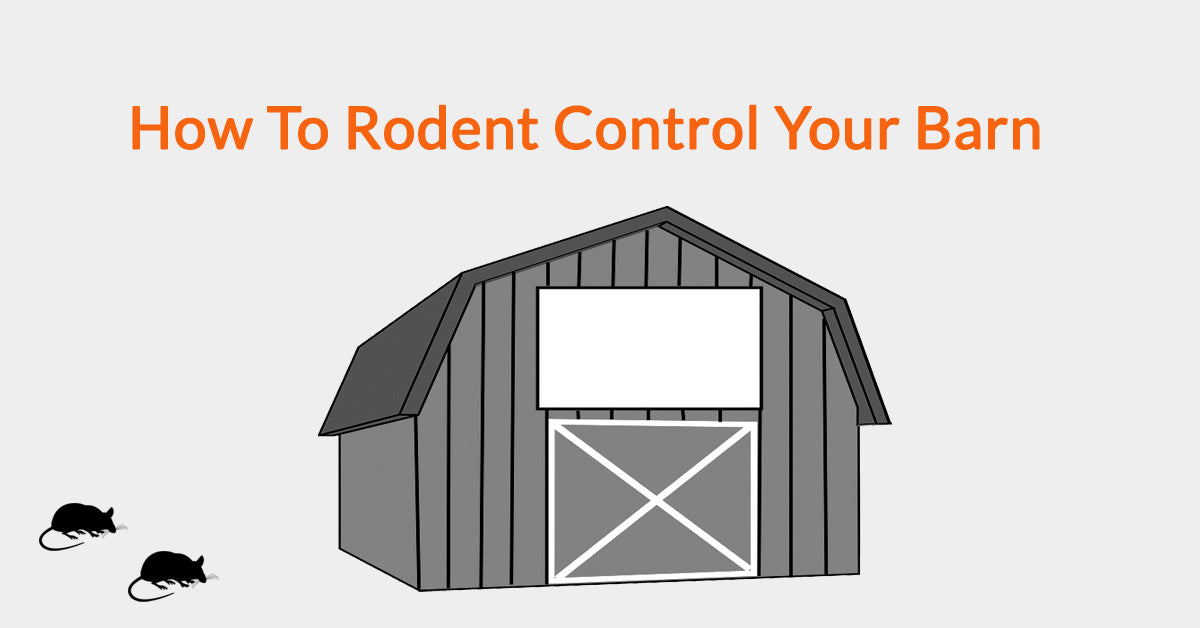 How To Rodent Control Your Barn | Automatic Trap Company
