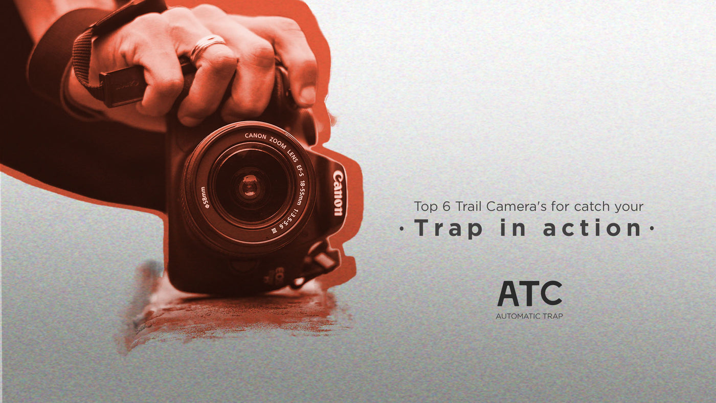 Top 6 Camera's For Your Rat Trap | Automatic Trap Company