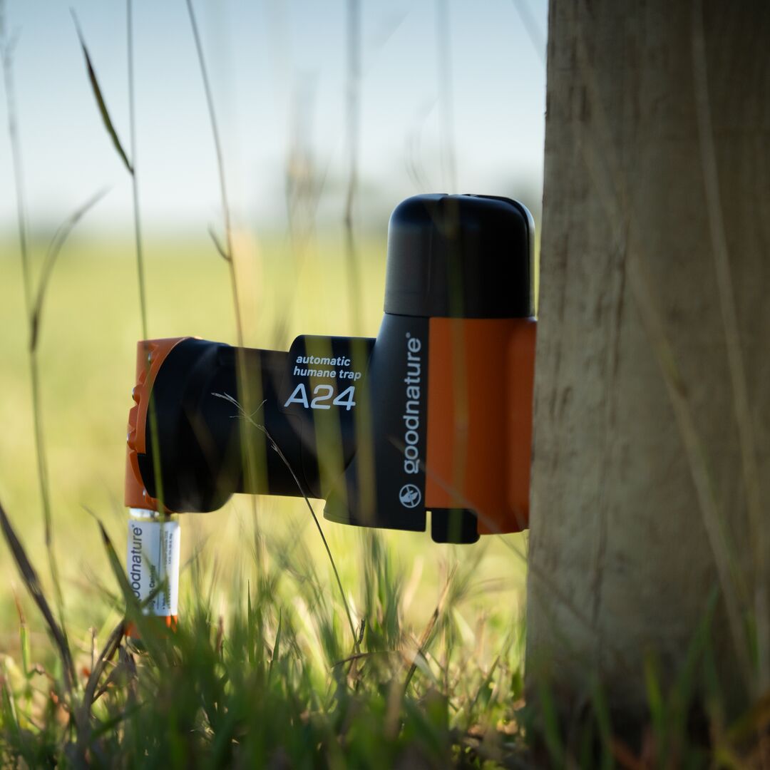 A24 Starter Trapping Kit – Automatic Trap Company