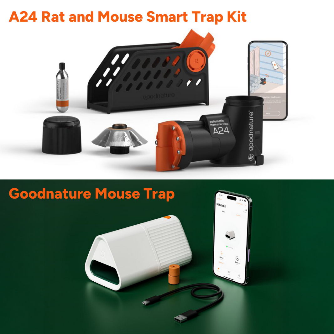 Automatic Traps | Self Resetting Rat, Mice, and Squirrel Traps ...