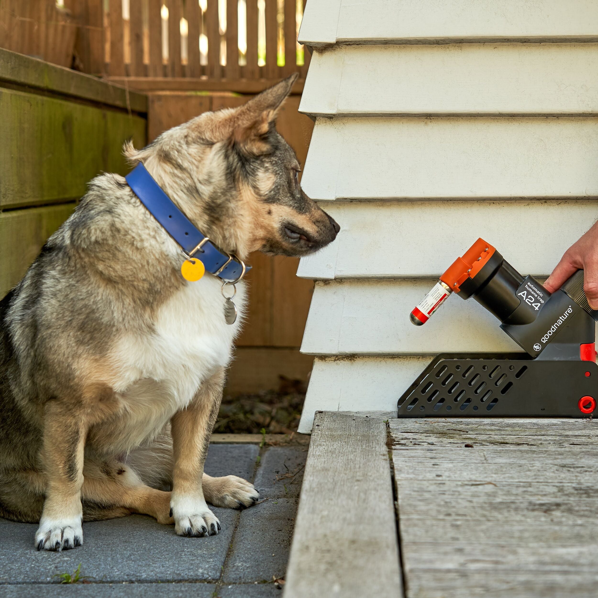 NEW traps – Automatic Trap Company