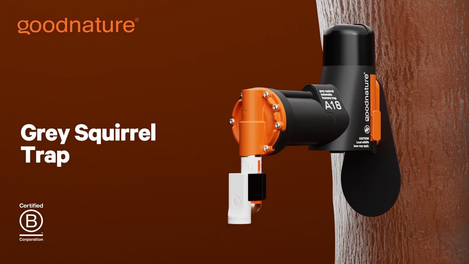 A18 Squirrel and Large Rodent Trapping Kit | Automatic Trap Company