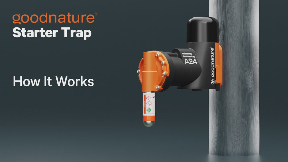 A24 Starter Trapping Kit – Automatic Trap Company