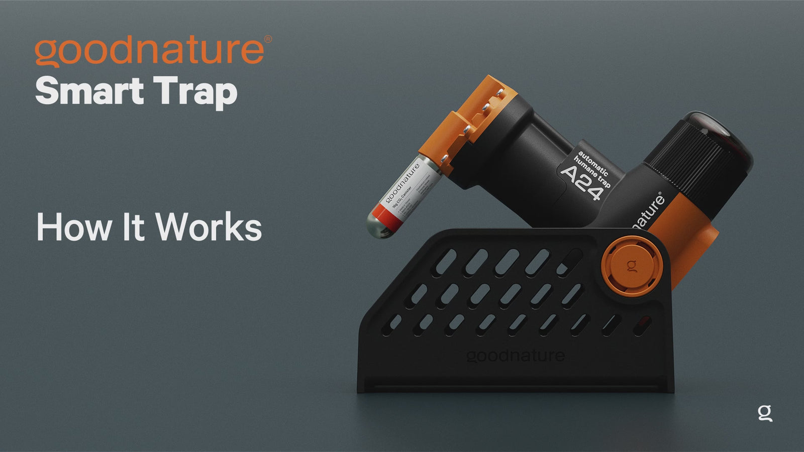 Goodnature A24 Smart Trap Kit | Automatic Trap Company