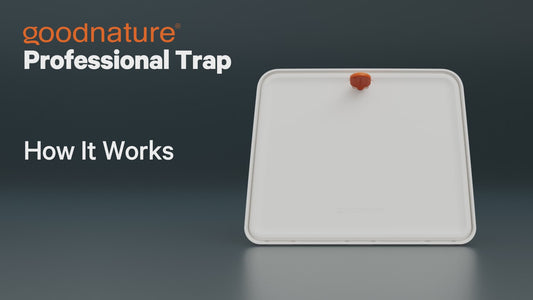 A24 Professional Trapping Kit – Automatic Trap Company