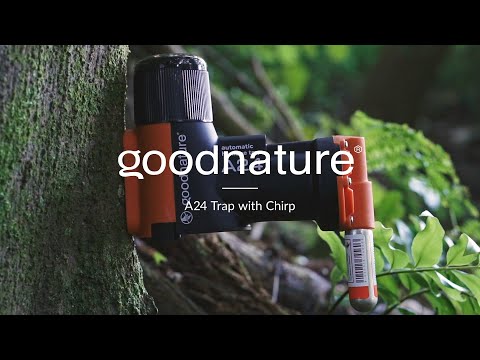 A18 Squirrel and Large Rodent Trapping Kit | Automatic Trap Company